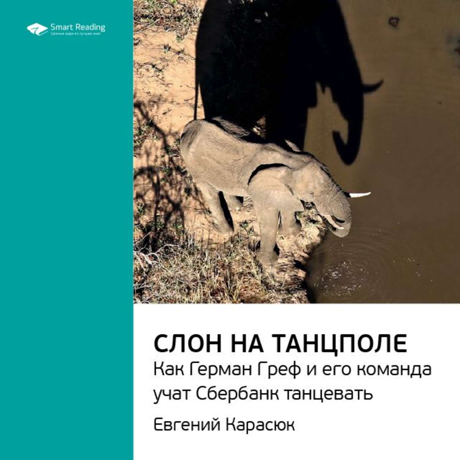 Аудиокнига Ключевые идеи книги: Слон на танцполе. Как Герман Греф и его ...